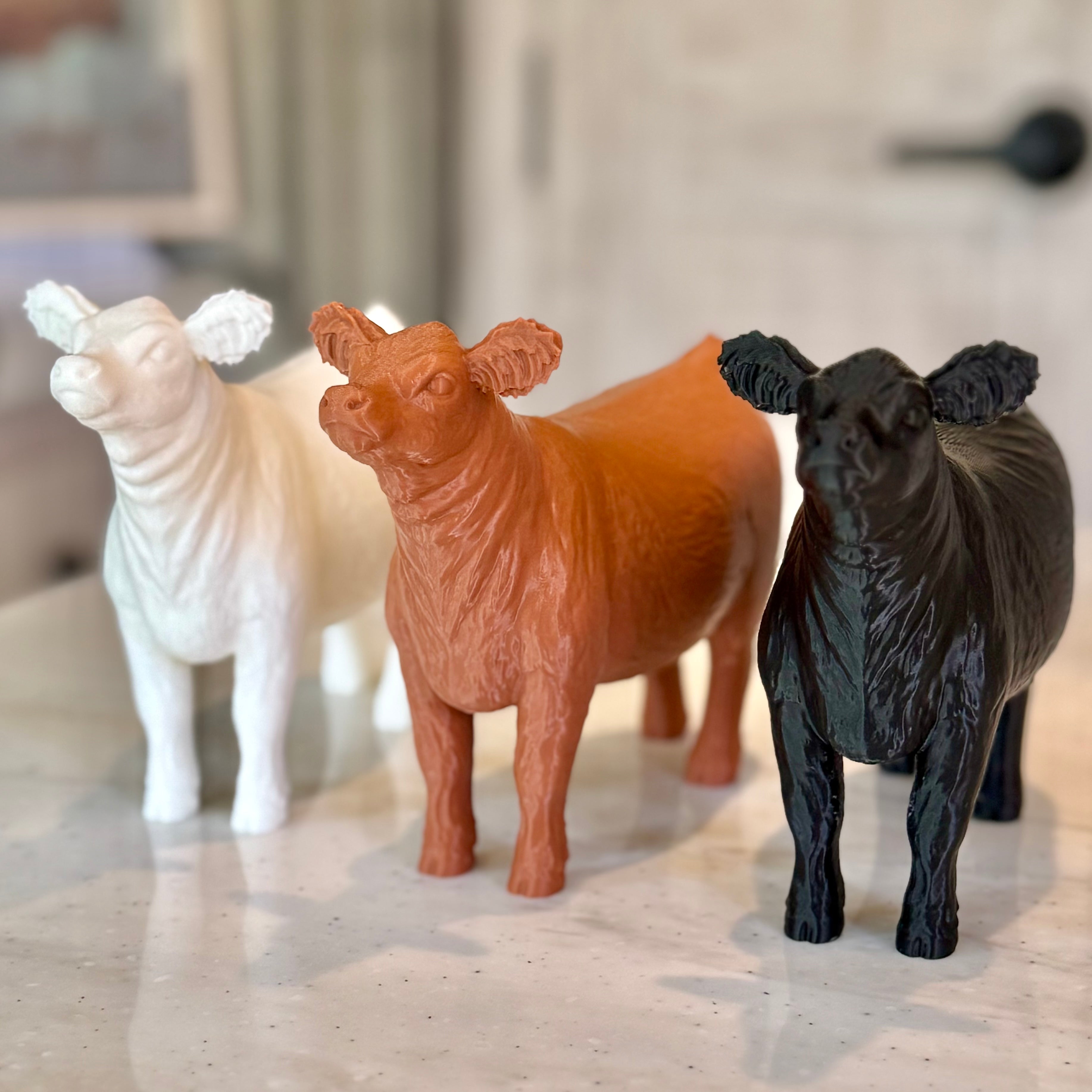 3D Printed Show Heifer – Livestock Award or Show Gift – Gone Rogue ...